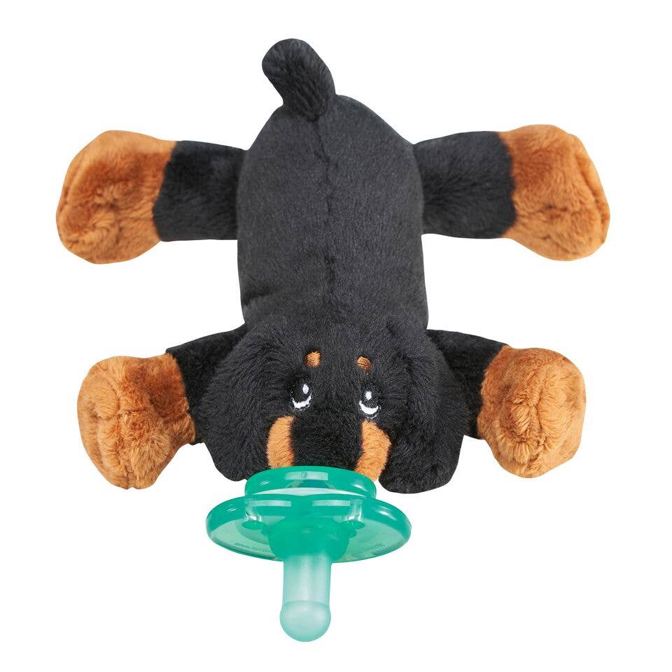 Nookums - Paci-Plushies Buddies – Dash Dog | Pittman's Country Market