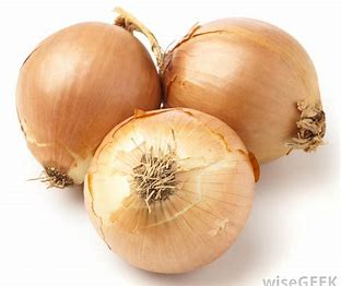 SHIP VIDALIA ONIONS (use code onions at checkout) | Pittman's Country ...